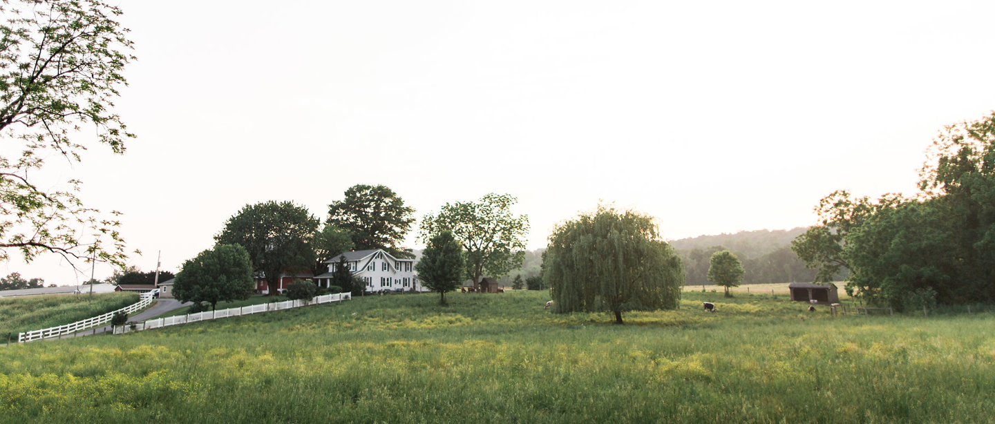 Our Story – Full Moon