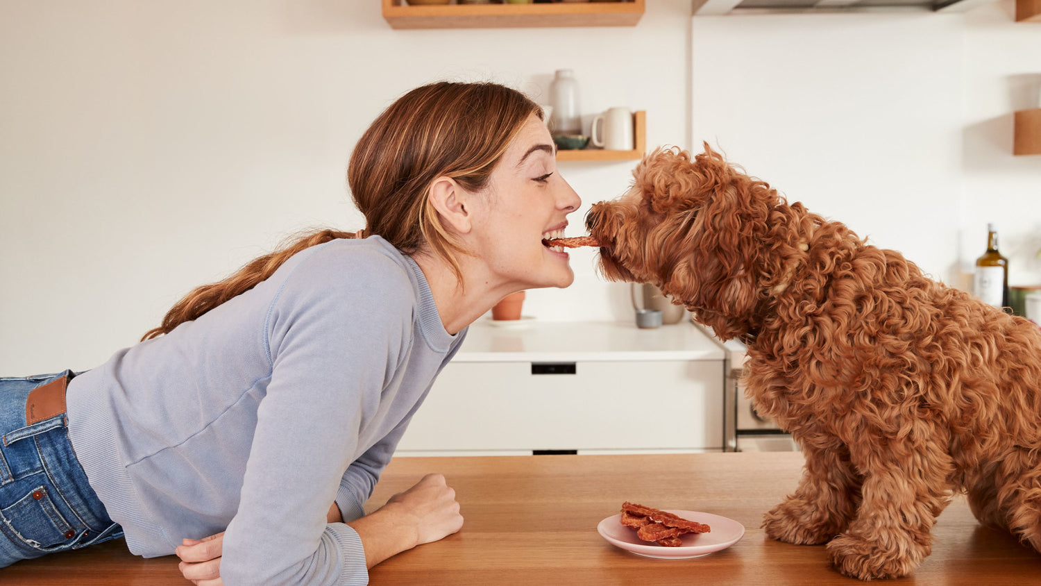 Full Moon Pet | 100% Human Grade Dog Treats | Made in the USA