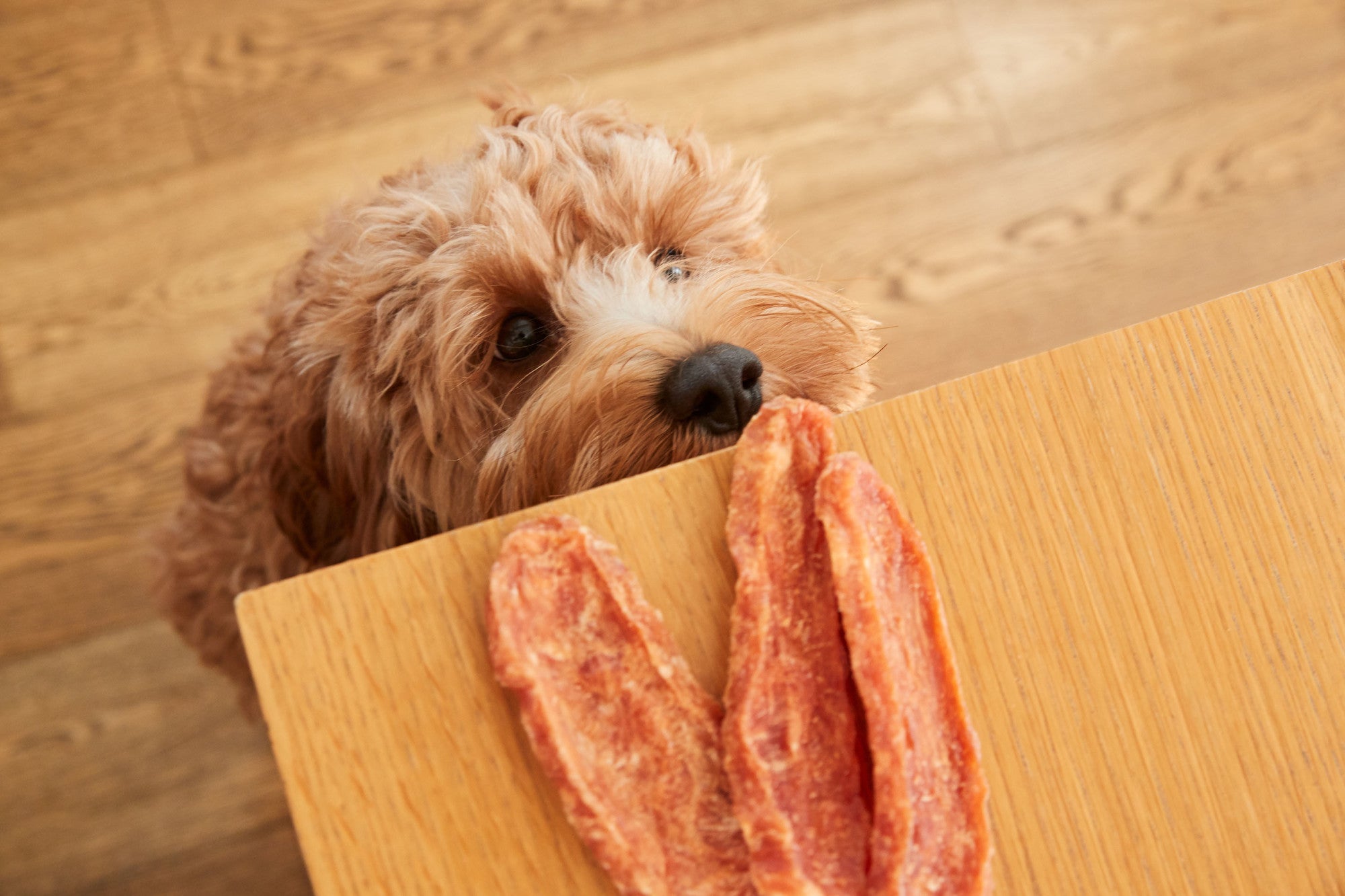 Full Moon Pet | 100% Human Grade Dog Treats | Made in the USA