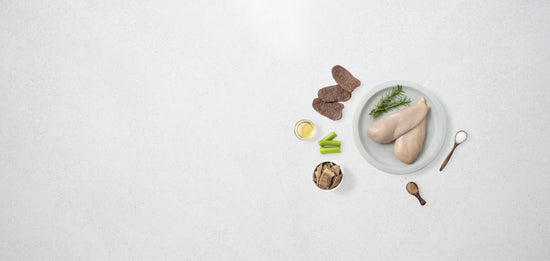 Chicken Fillet Dog Treats | 100% Human Grade | Glycerine Free | Made in ...