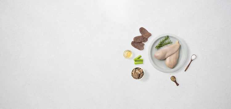 Chicken Fillet Dog Treats | 100% Human Grade | Glycerine Free | Made in ...